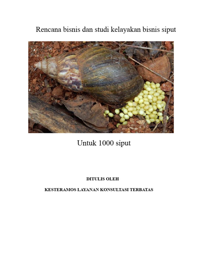 Rencana bisnis dan studi kelayakan untuk bisnis siput (1000 siput) | PDF
