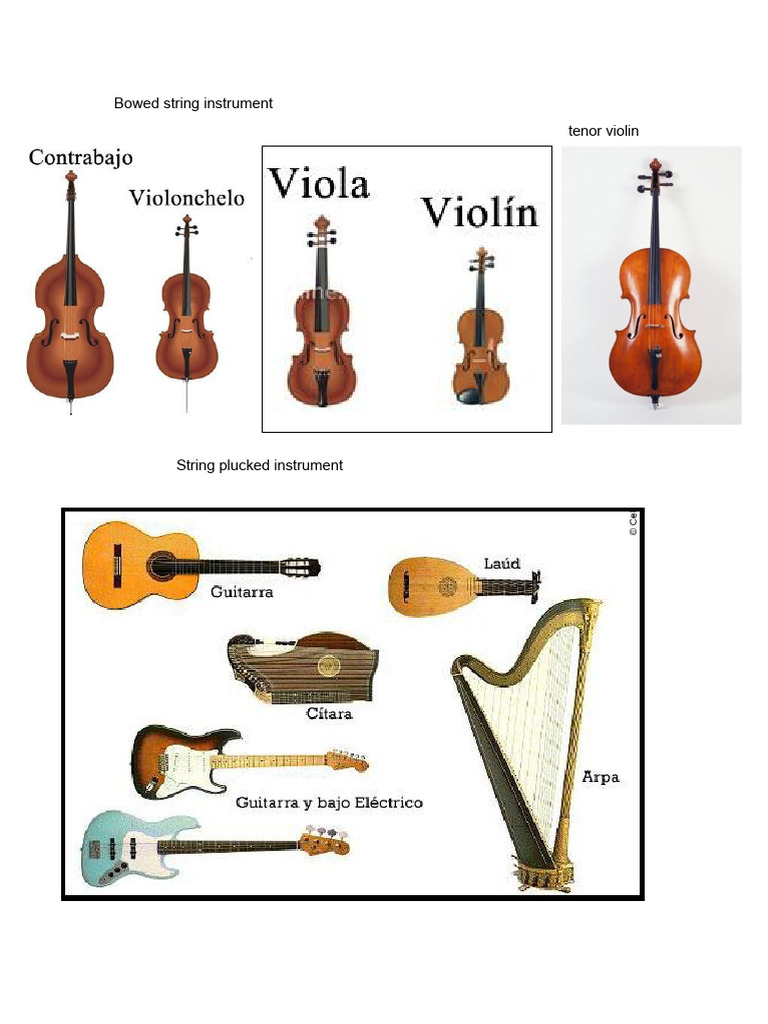 String Instrument Bowed | PDF