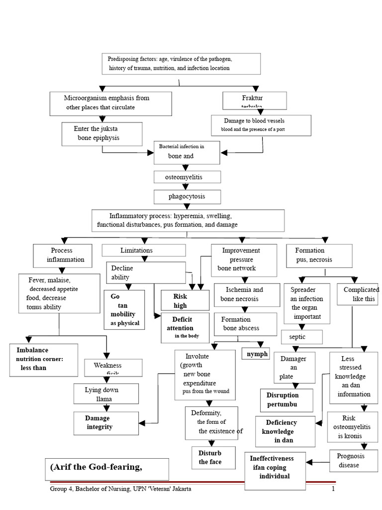 Osteomyelitis Pathway | PDF | Inflammation | Necrosis