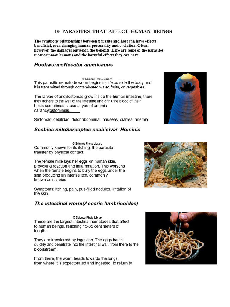 10 Parasites That Affect Human Beings | PDF | Parasitism | Medical ...