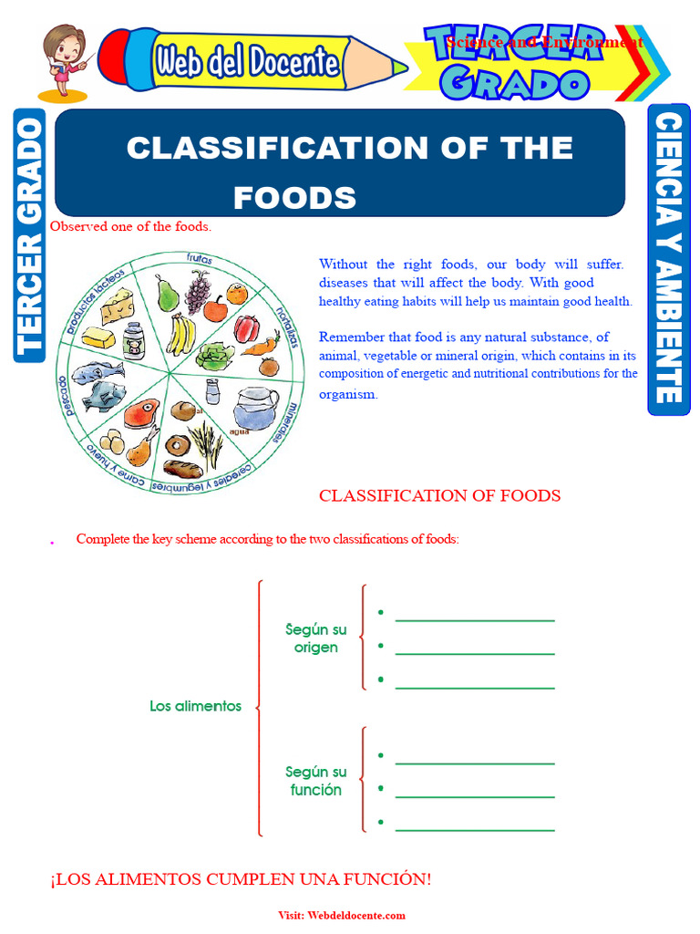 Classification of Foods For Third Grade of Primary School | PDF | Foods ...