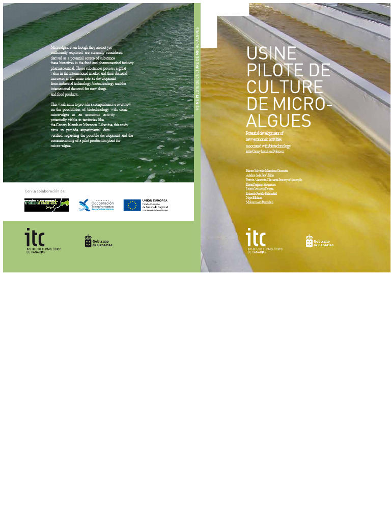 Pilot Plant For Microalgae Cultivation | PDF