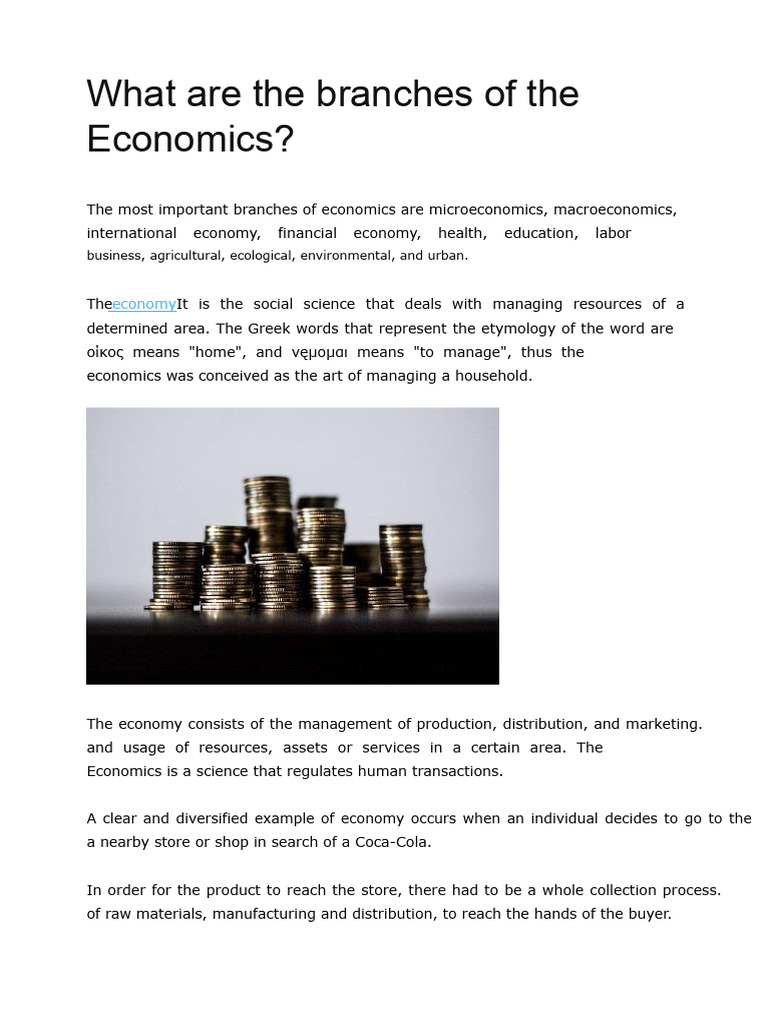 Branches of Economics | PDF | Economics | Macroeconomics