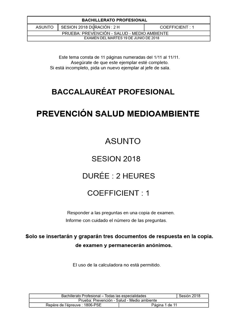BAC PRO 2018 PREVENCIÓN SALUD MEDIOAMBIENTE TEMA | PDF | Músculo | mensajero