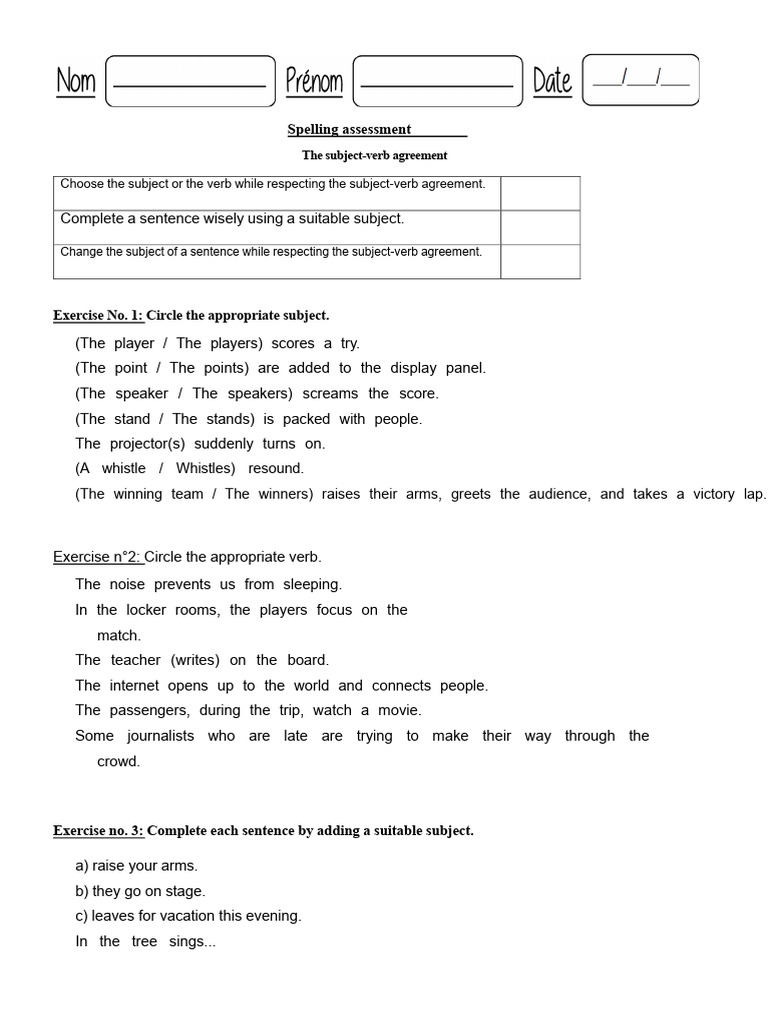 Subject-Verb Agreement Evaluation | PDF