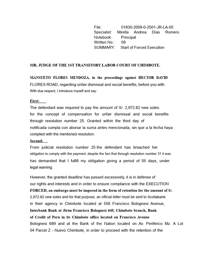 Initial Forced Execution Writ | PDF