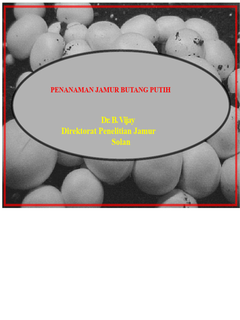 Panduan Budidaya Jamur Butang Putih | PDF