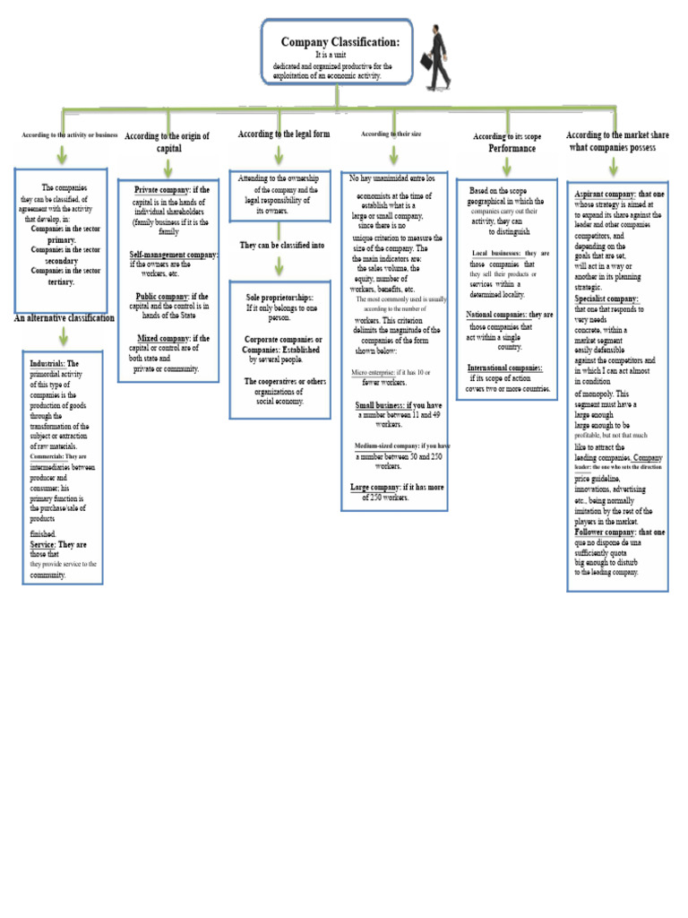 Types of Company Classifications Explained | PDF | Cooperative | Business