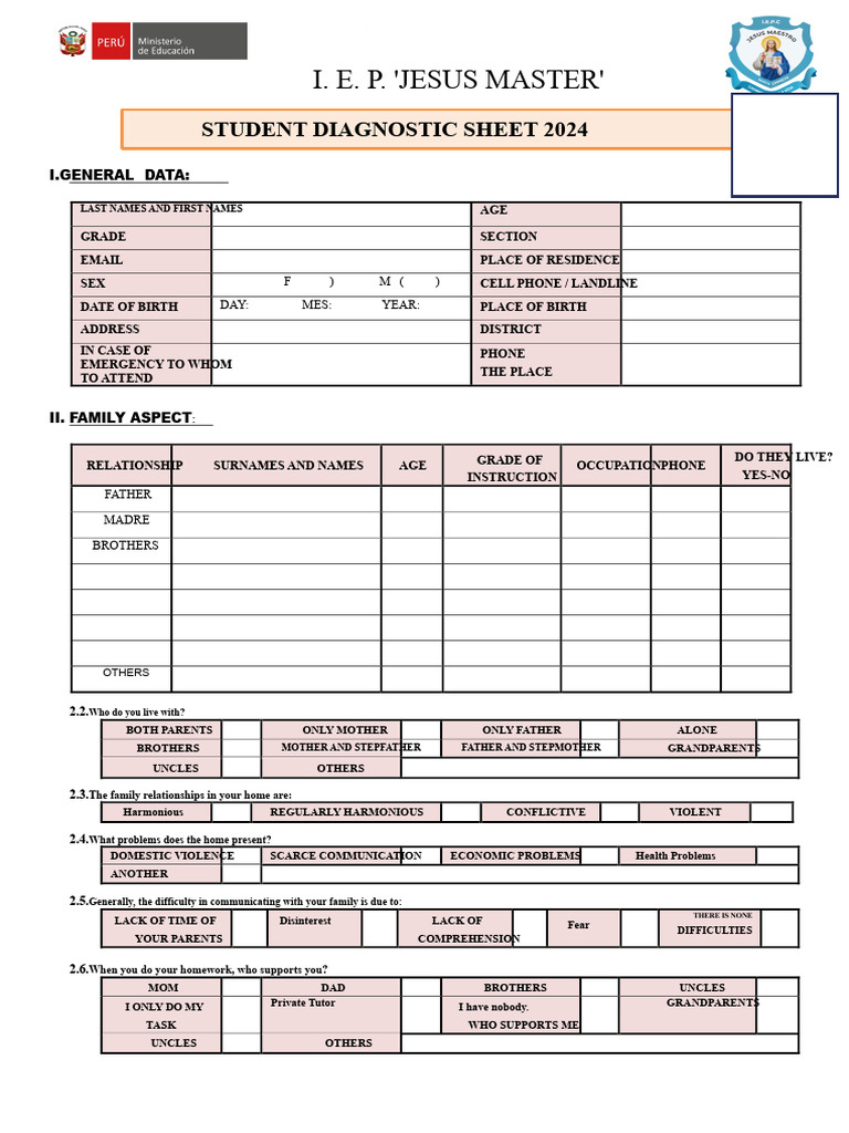 2024 Student Diagnostic Sheet Template | PDF