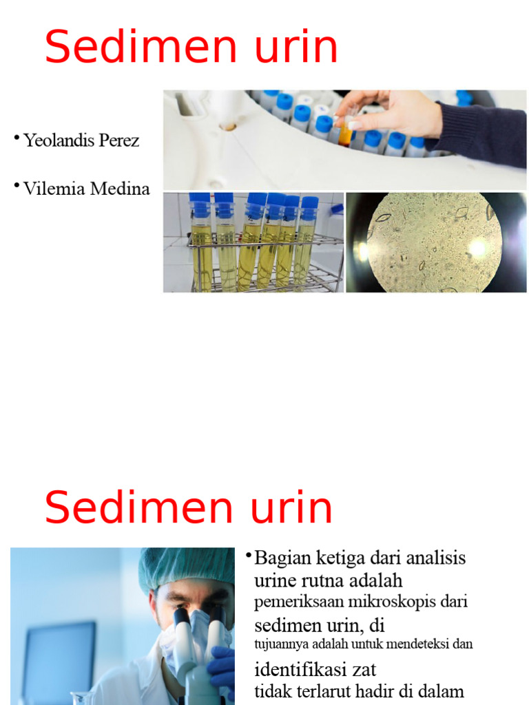 Sedimen Urin | PDF
