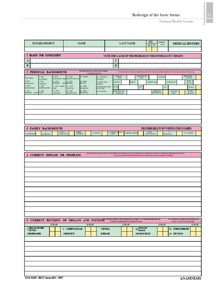 Redesign of The Basic Forms: Establishment Name Last Name | PDF ...