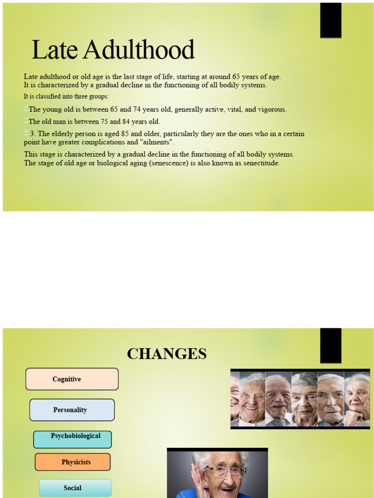 Late Adulthood | PDF