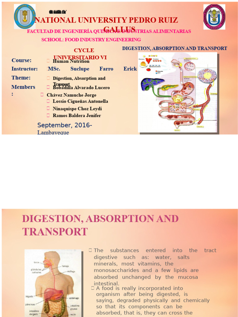 Digestion, Absorption and Transport | PDF | Lipoprotein | Digestion