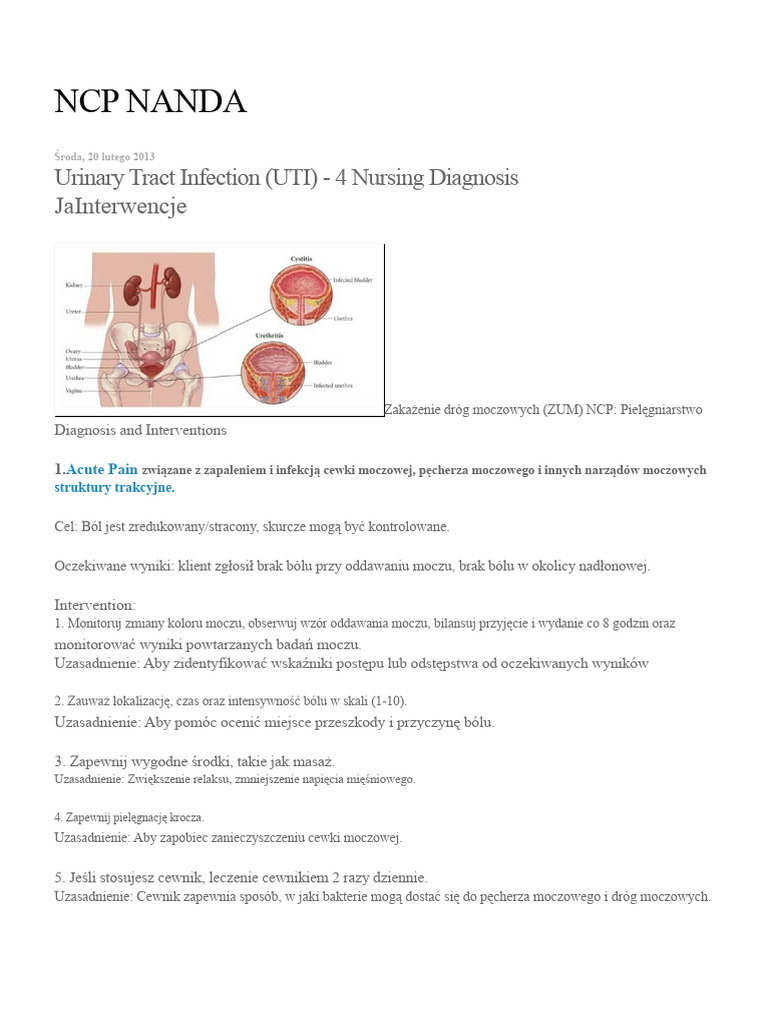 Infekcja Dróg Moczowych (IDM) - 4 Interwencje W Diagnozie ...
