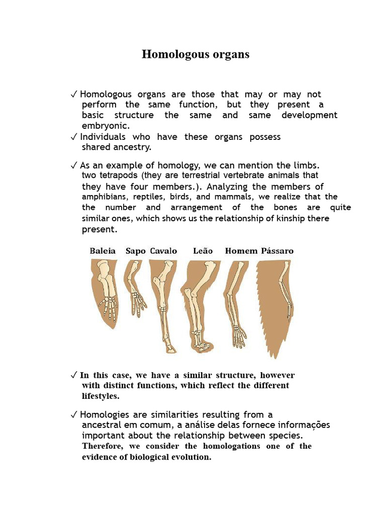 Homologous Organs and Fossils PDF | PDF | Homology (Biology) | Fossil