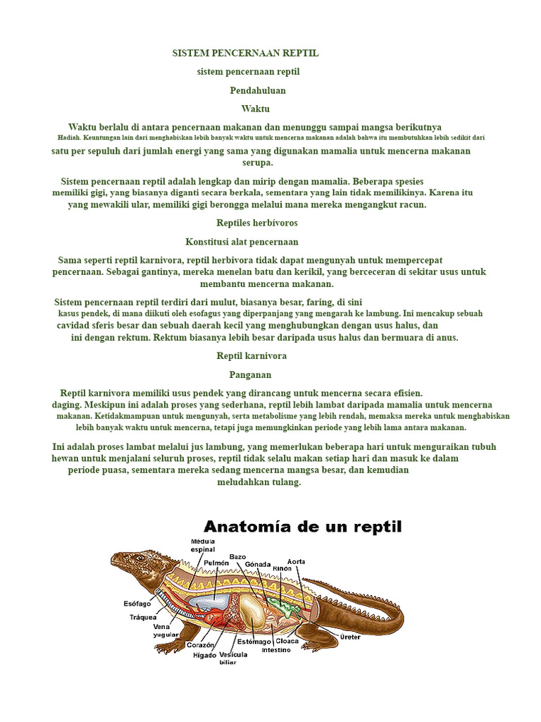 Sistem Pencernaan Reptil | PDF