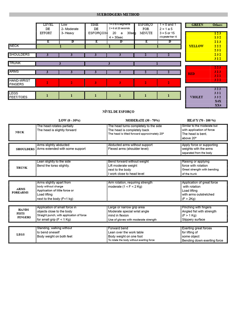 6. SUE RODGERS 2 | PDF | Anatomical Terms Of Motion | Musculoskeletal ...