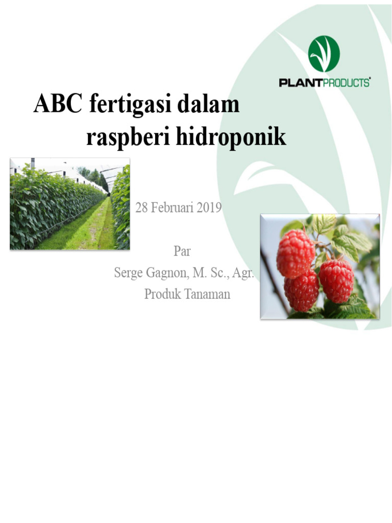 Fertigasi Raspberry | PDF