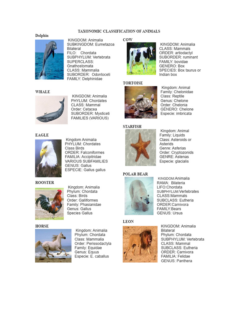 Taxonomic Classification of Animals | PDF | Vertebrates | Biological ...