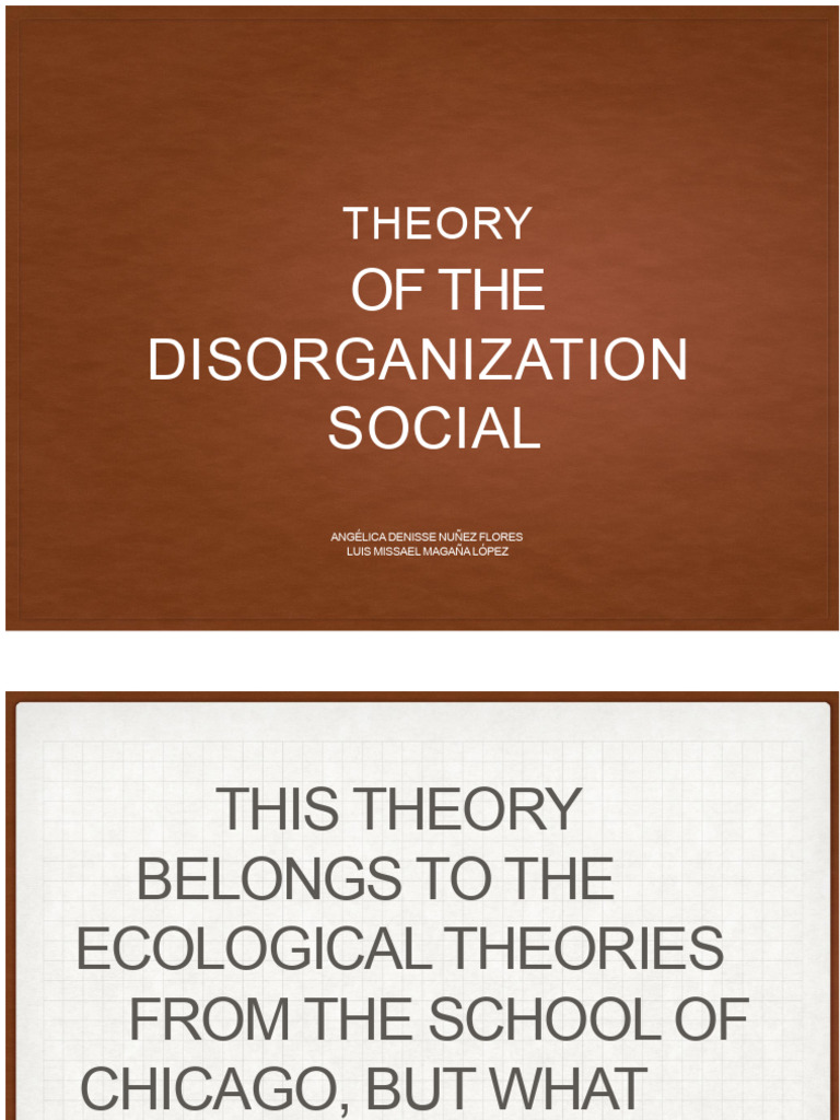 Theory of Social Disorganization | PDF | Criminology | Crimes