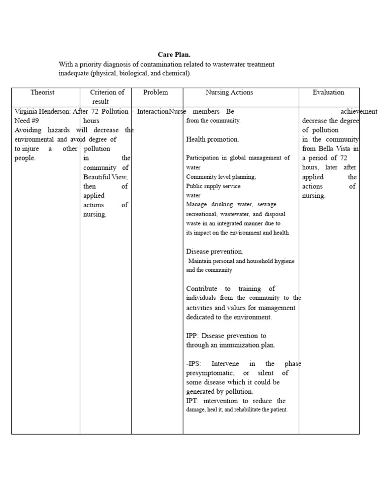Community Care Plan | PDF | Water Pollution | Nursing