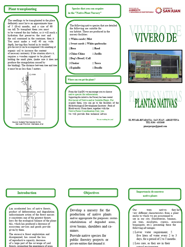 Brochure Native Plants Nursery - Biodiversity Park | PDF | Plant ...
