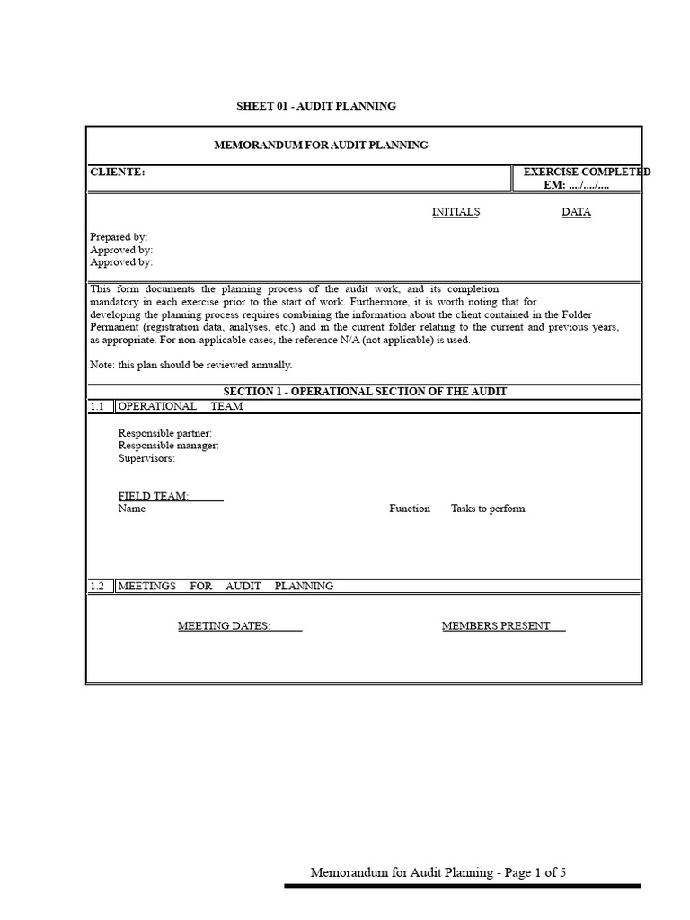 MOD - Memorandum For Audit Planning | PDF | Audit | Business