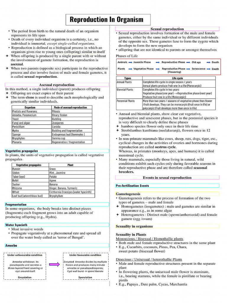 Reproduction in Organism Power Notes | PDF