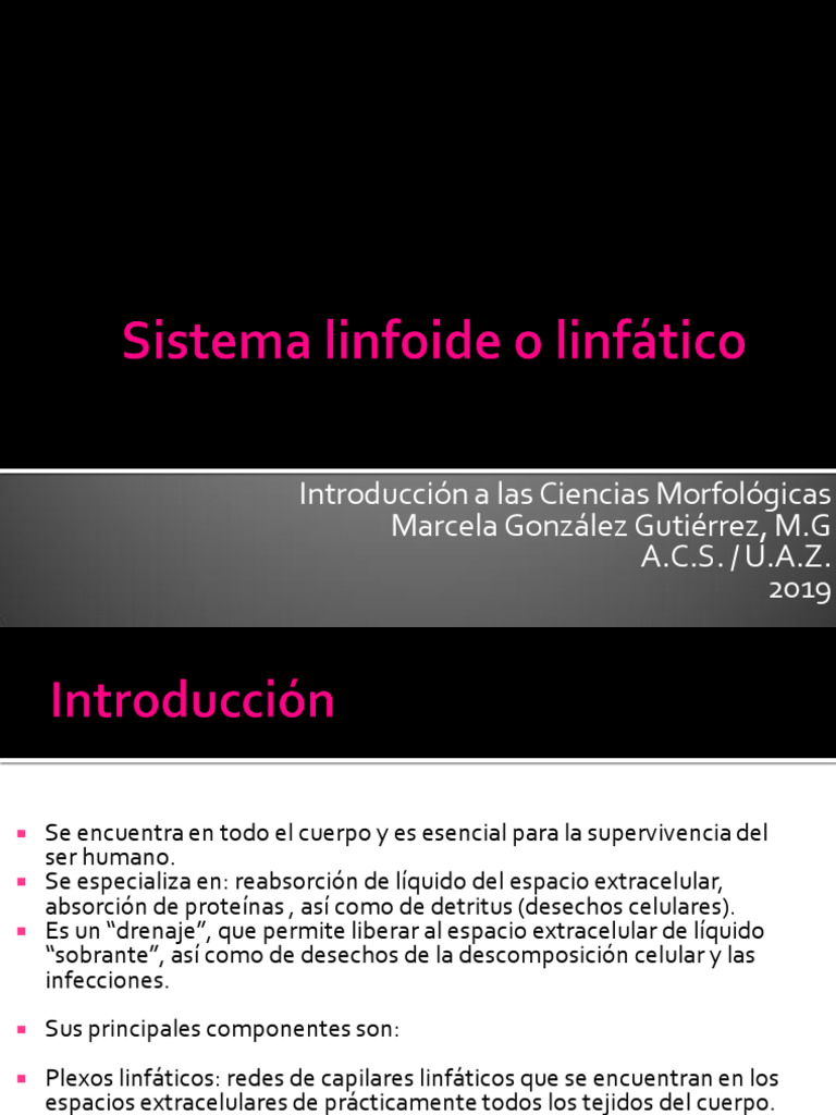 Clase 19 Parte 2 - Sistema Linfoide o Linfático | PDF | Sistema ...
