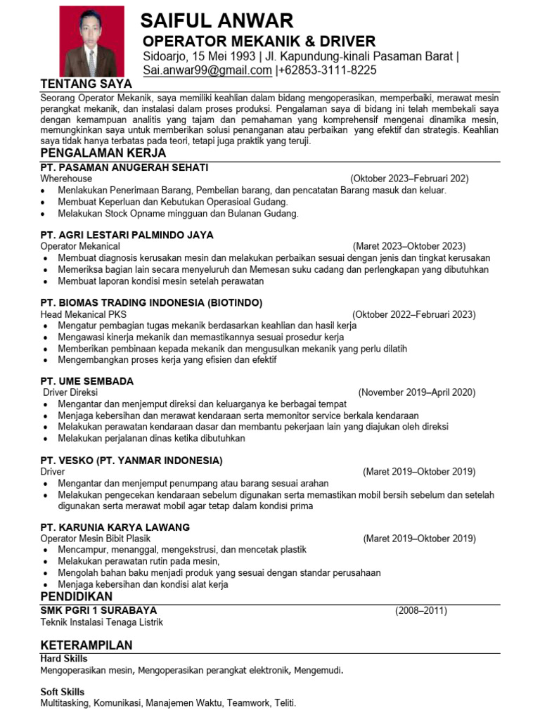 Cv. Saiful Anwar | PDF