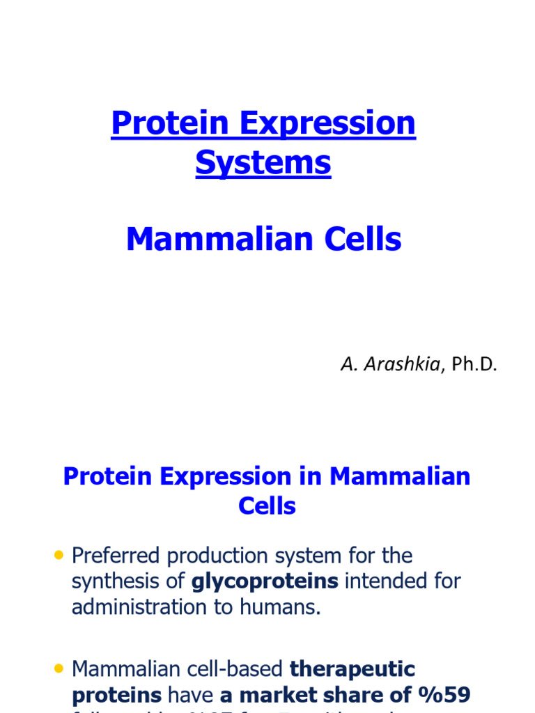 Mammalian Cell Protein Expression Guide | PDF | Transfection | Hek 293 ...