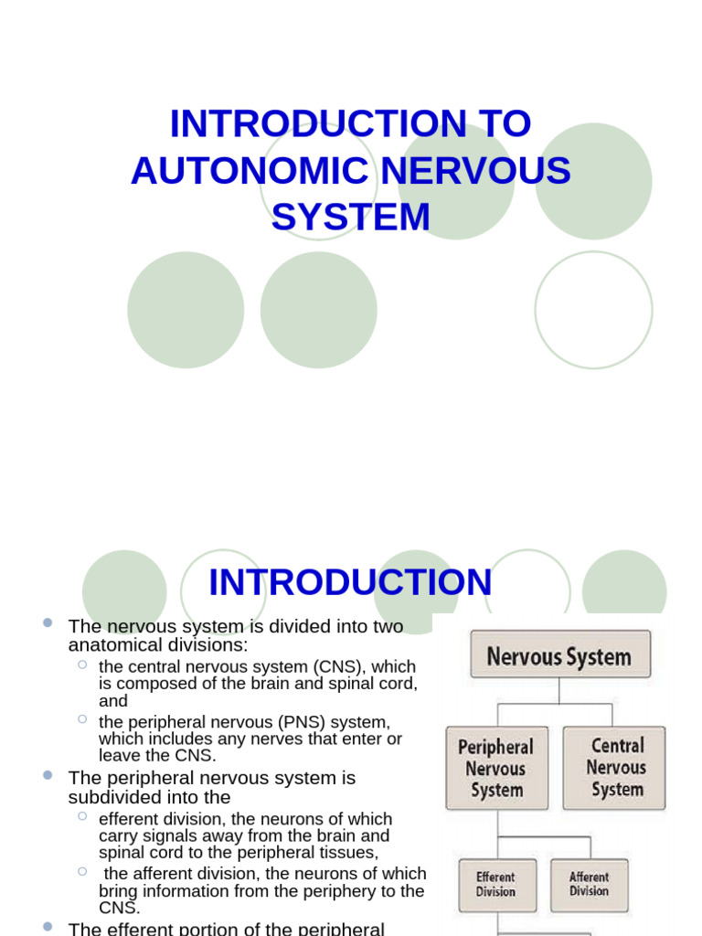 Introduction To Autonomic Nervous System | PDF | Autonomic Nervous System | Nervous System