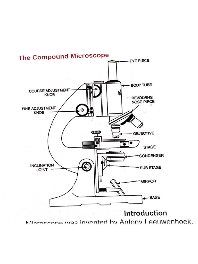 Diagrams Practical | PDF