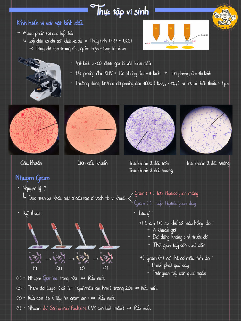 Thực tập vi sinh - Cookie đang học y.pdf | PDF