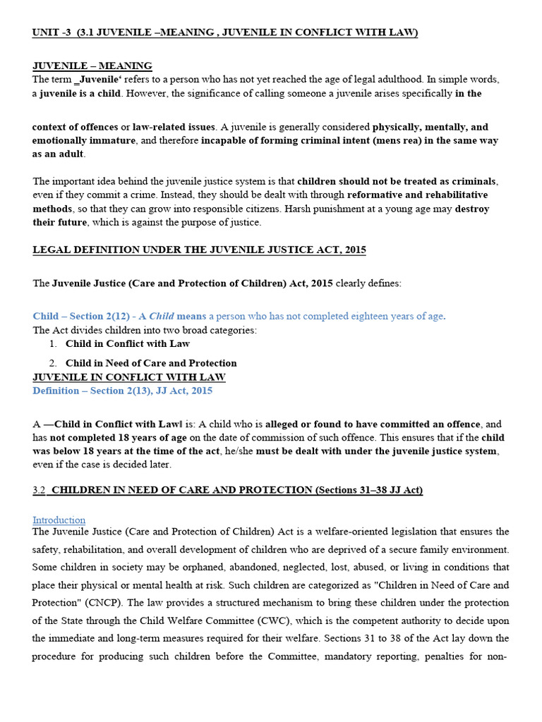 Understanding Juvenile Justice System | PDF | Juvenile Court | Minor (Law)