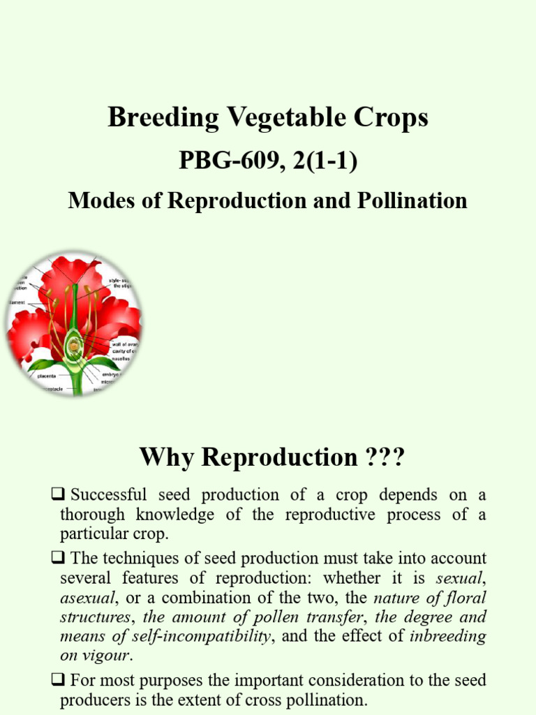 Modes of Reproduction | PDF | Sexual Reproduction | Reproduction