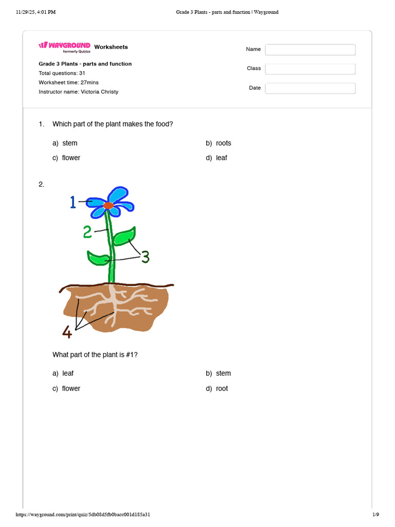 Grade 3 Plants - Parts and Function - Wayground | PDF | Plants | Leaf