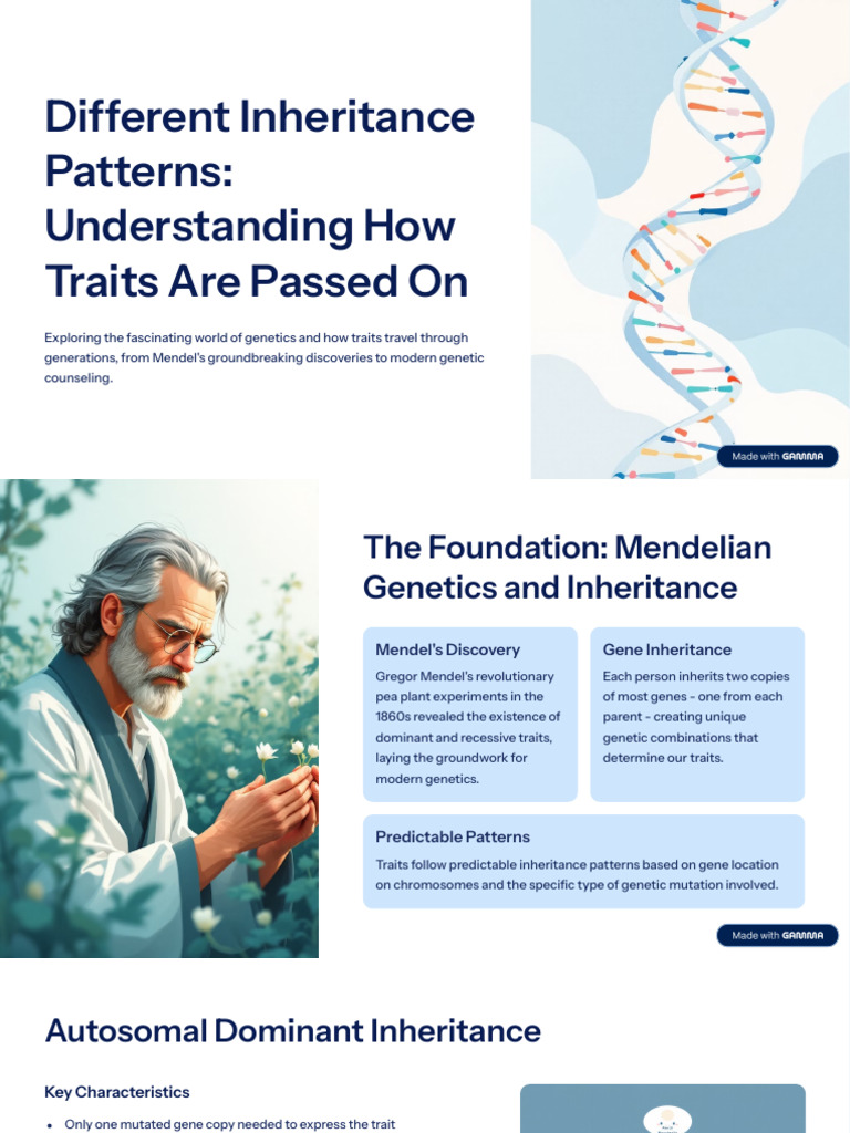 Copy of Different Inheritance Patterns Understanding How Traits Are ...