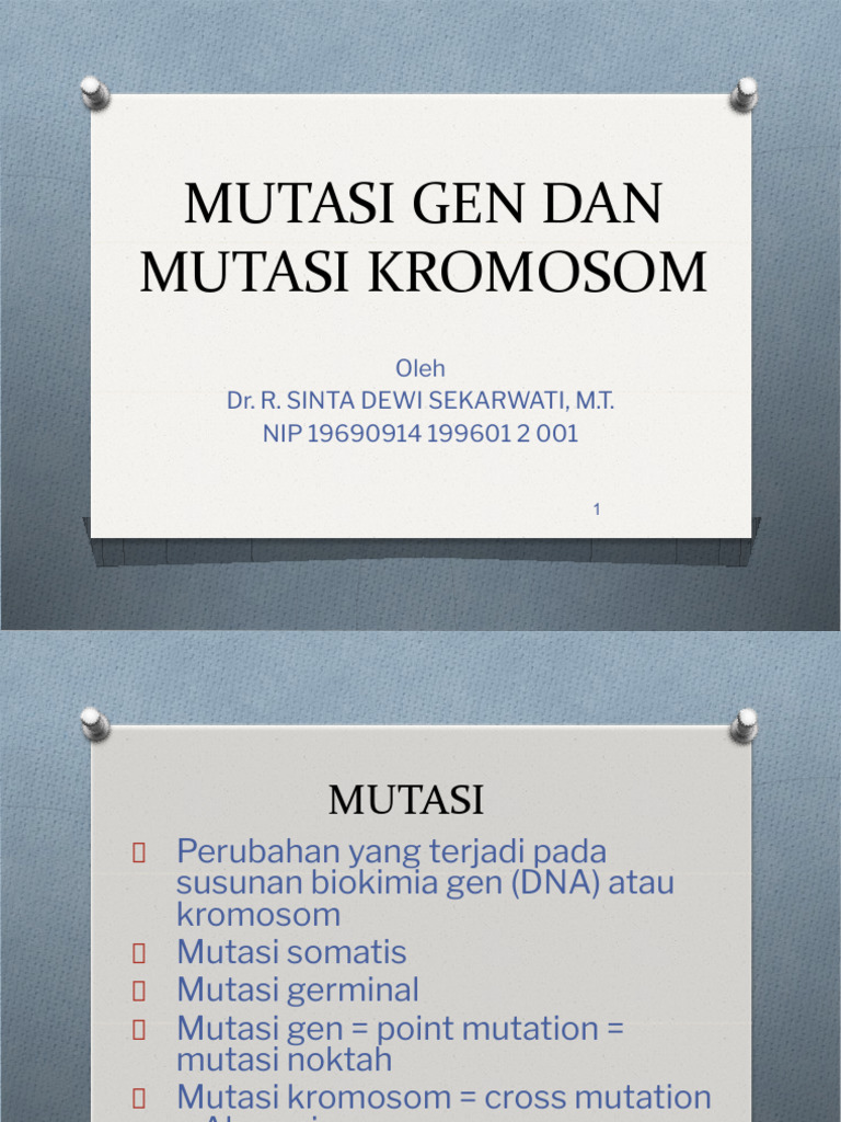2425 Mutasi-Gen-Dan-Mutasi-Kromosom Biologi. | PDF