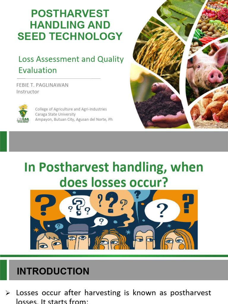 Postharvest Losses and Quality Management | PDF | Vegetables | Postharvest