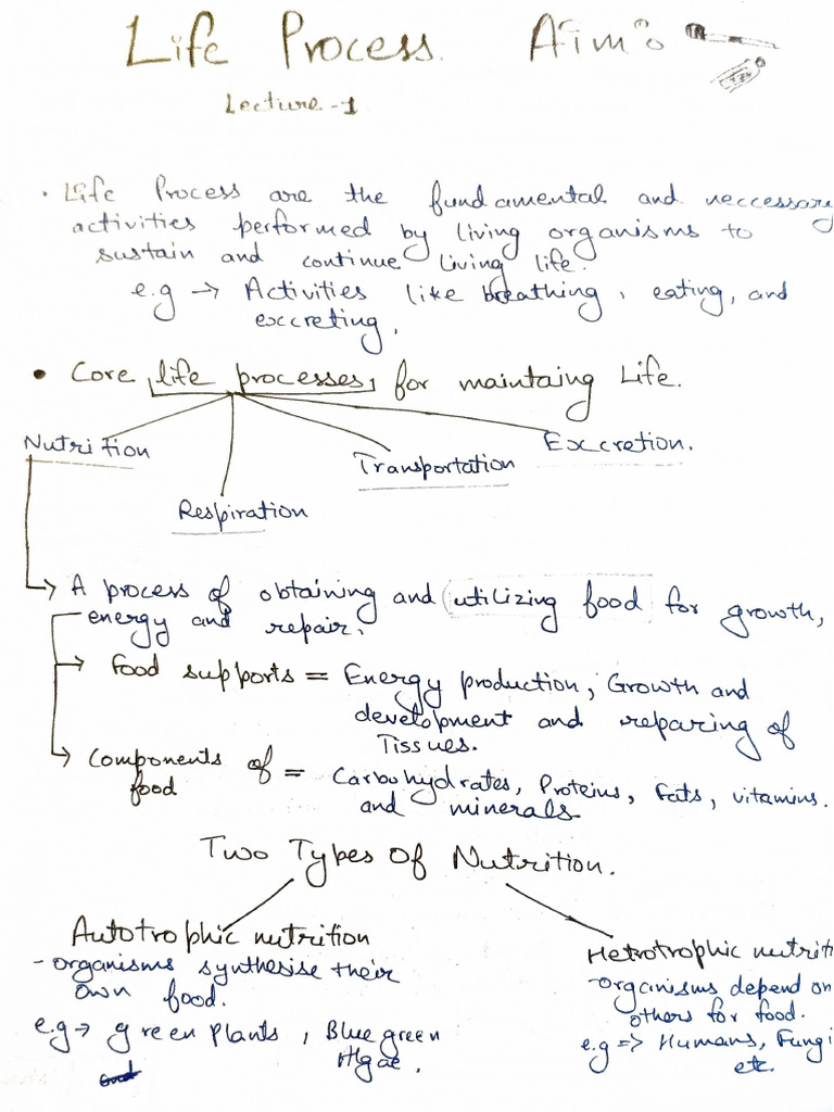 Life Process | PDF