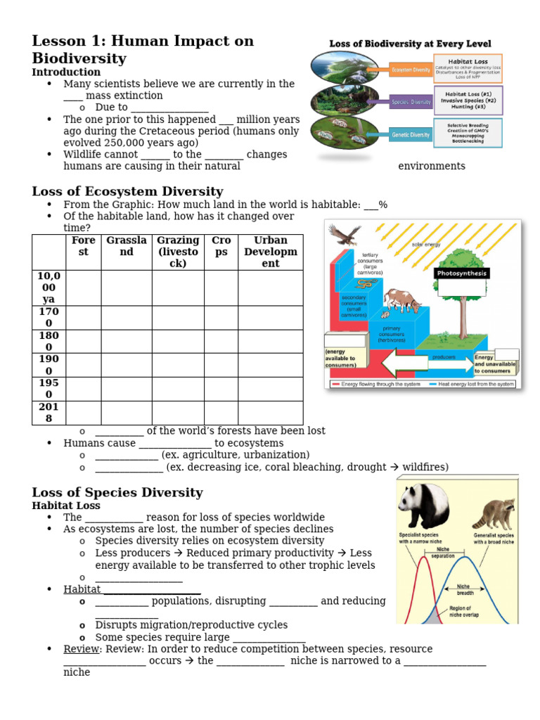 Human Impact On Biodiversity and Saving Biodiversity - Guided Notes ...