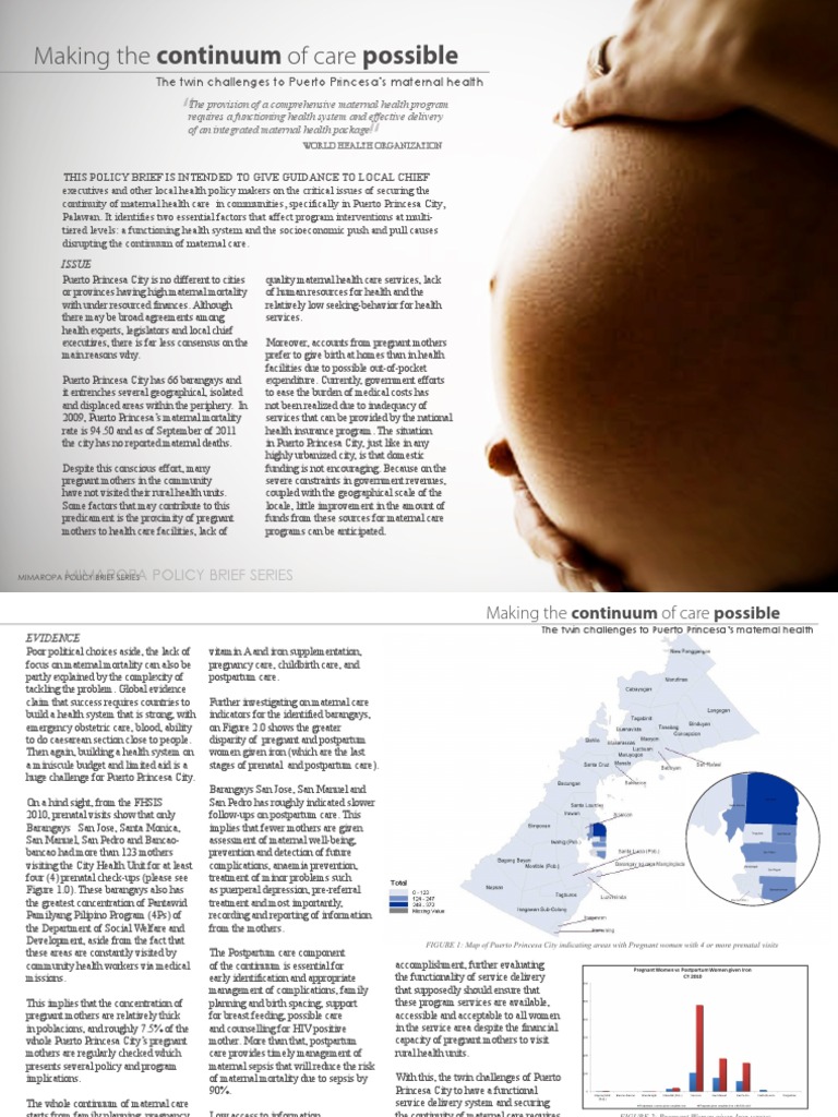 Policy Brief on Maternal Care | Maternal Health | Pregnancy