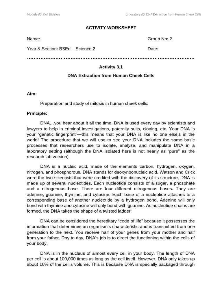Laboratory 3 DNA Extraction From Human Cheek Cells Worksheet | PDF ...
