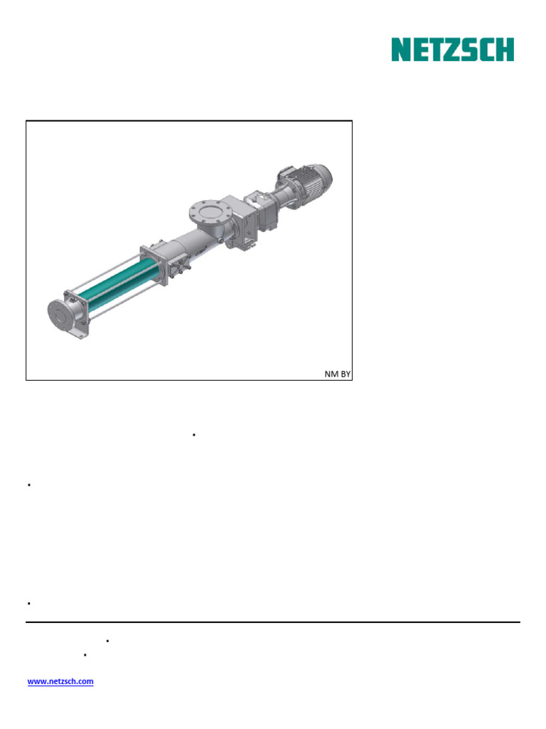 Netzsch by Manual | PDF | Pump | Safety