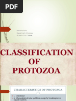 Urochordata Classification Overview | PDF | Chordates