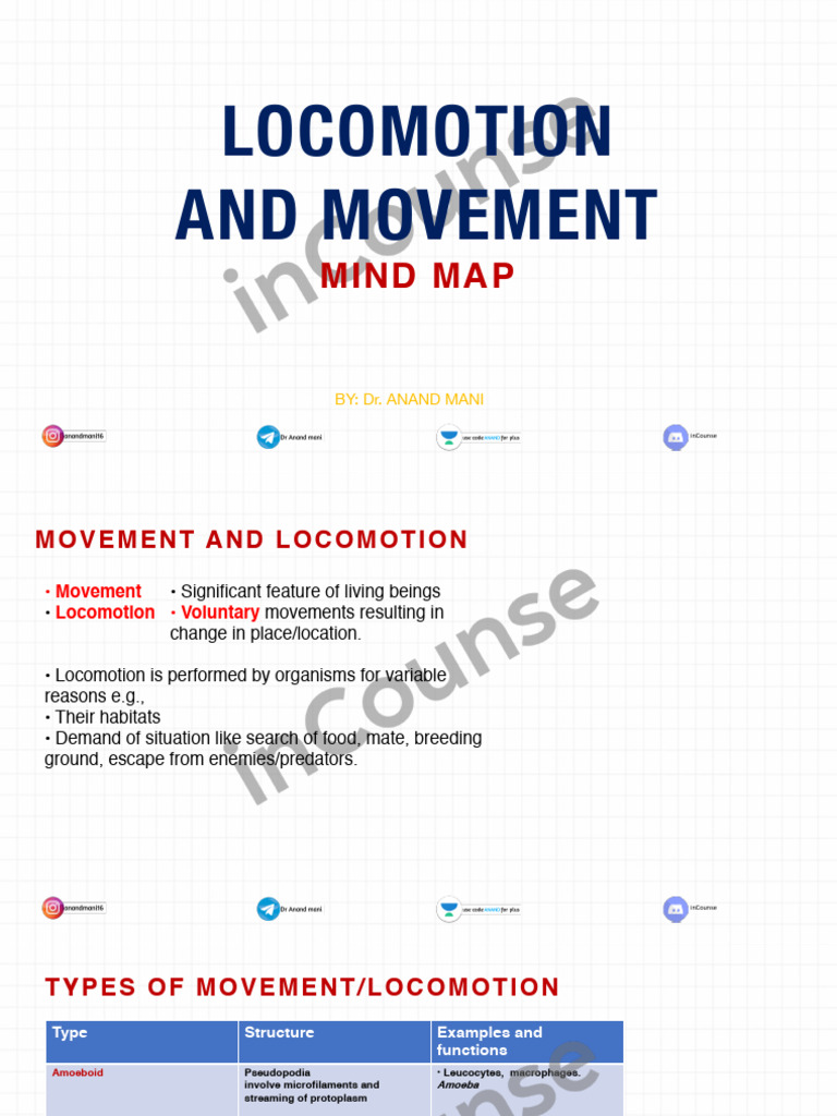 Mind Map Locomotion and Movement Final (1) | PDF | Muscle Contraction ...