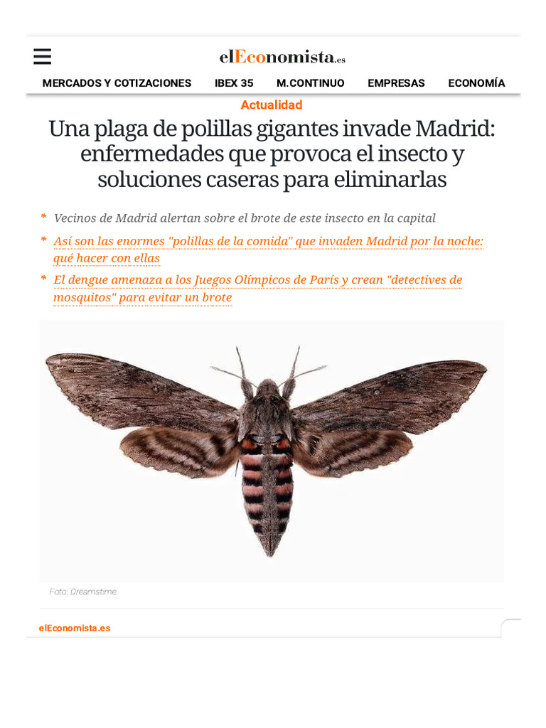 Una Plaga de Polillas Gigantes Invade Madrid - Enfermedades Que Provoca ...
