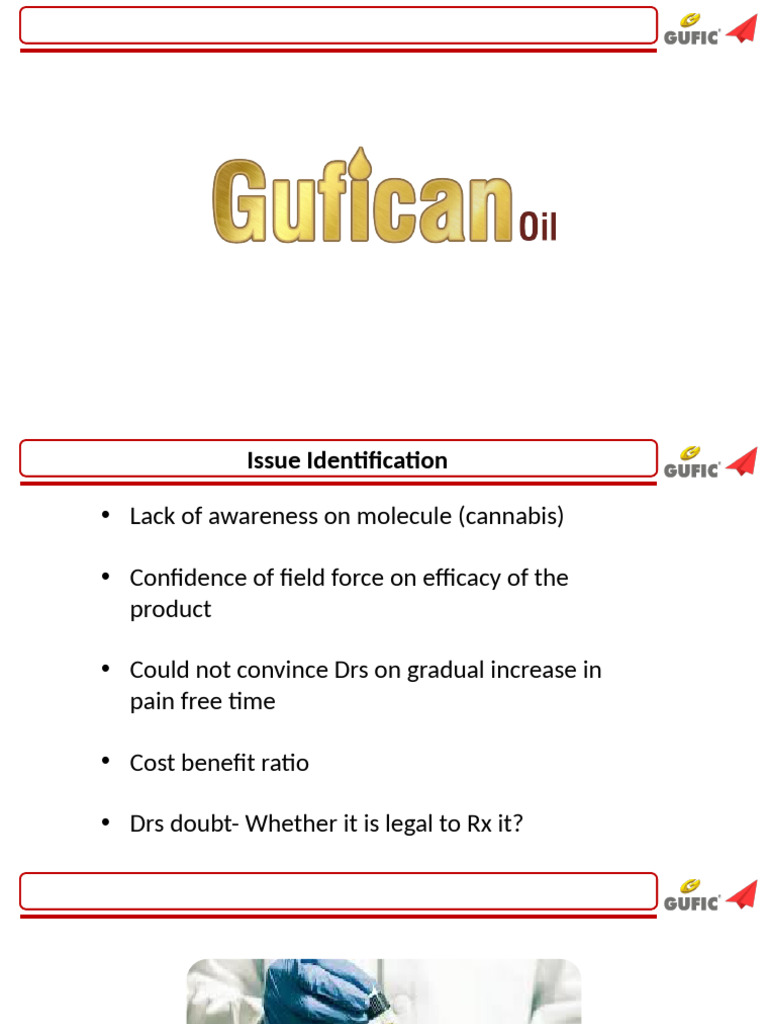 Gufican: Pain Relief Campaign Strategy | PDF