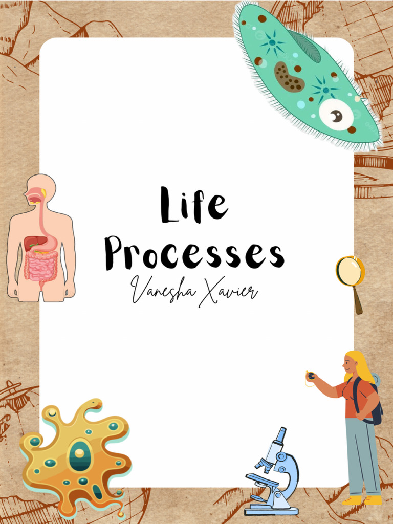 Chapter - Life Processes (CBSE Class 10 - Extremely Detailed Notes ...